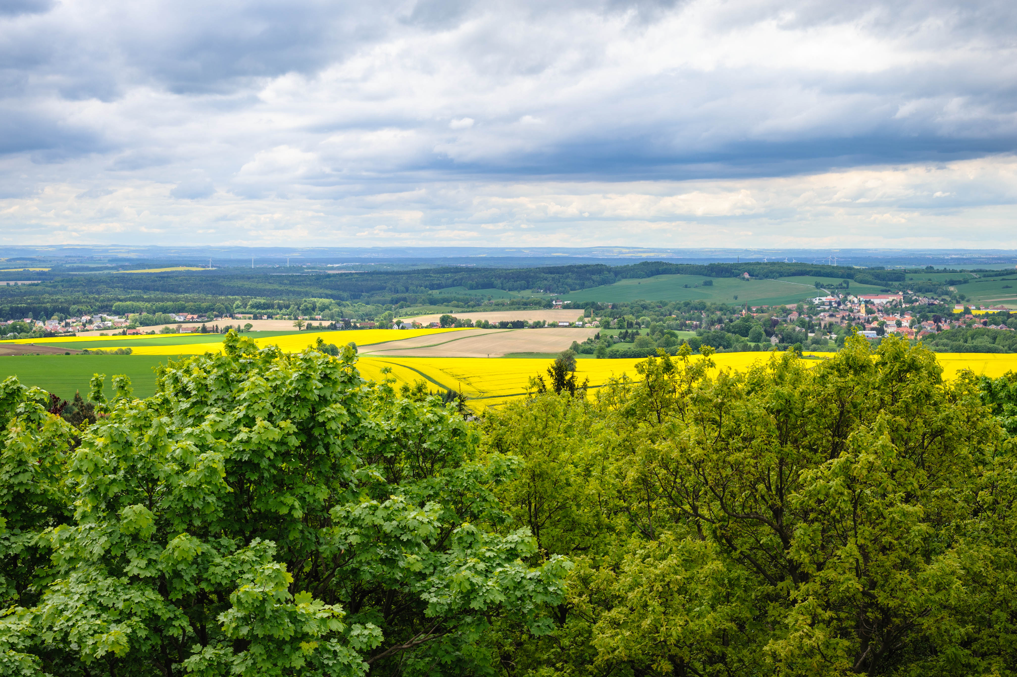 Oberlausitz im Frühling - Christian Mitschke